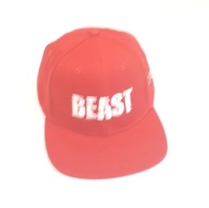 Make Offer Now! | Accessories | Mens Rare Beast Snapback Cap | Poshmark